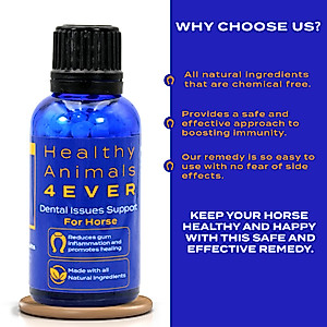 Healthy Animals 4Ever All-Natural Horse Dental Health Support - Maintains Strong, Healthy Teeth & Bones - Dental Supplements for Horses - Homeopathic & Highly Effective - 300 Tablets