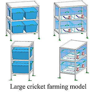 Crickets Water Feeder Cricket breeding kit Automatic Cricket Feeder Cricket Keeper with Tubes Feeding Crickets Cricket Feeding Cup Cricket Water Raising Rickets Cricket Water Bottle Cricket Crystals
