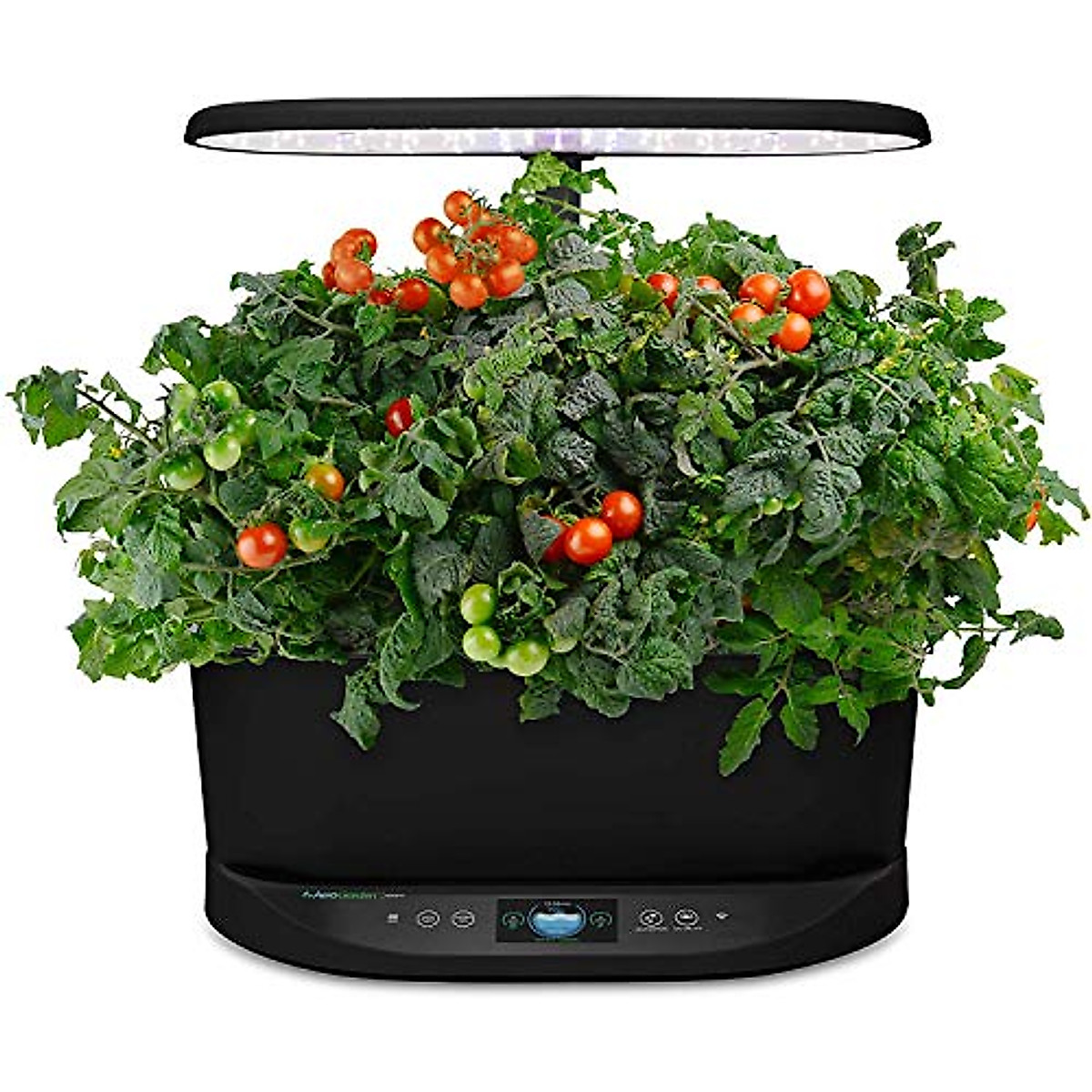 AeroGarden Bounty - Indoor Garden with LED Grow Light, WiFi and Alexa Compatible, Black & Heirloom Salad Greens Seed Pod Kit (9-pod)