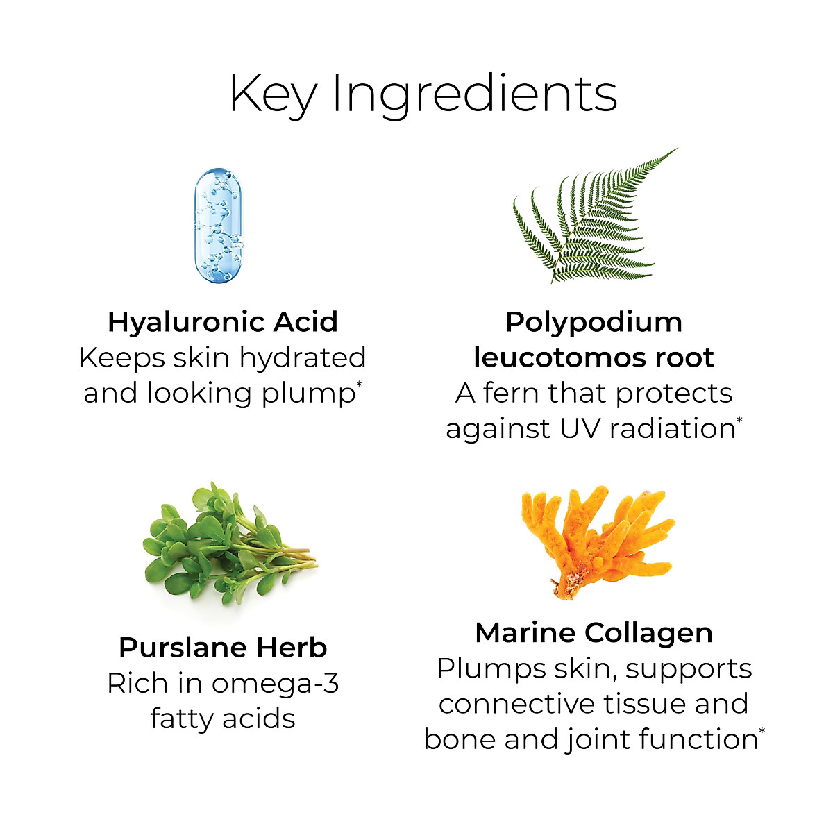 Hush & Hush TimeCapsule Multivitamin, Women's Multivitamin, Men's Multivitamin, Clean Nutraceuticals Supplements That Contains Hyaluronic Acid, Vitamin C, Zinc, Vitamin B12, Vitamin E - 60 Tablets