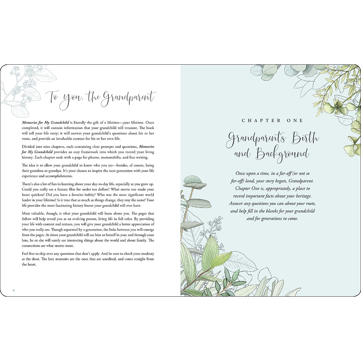 Memories for My Grandchild (Cloth Bound, Deluxe Edition)