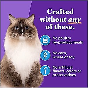 Halo Adult Grain Free Wet Cat Food Pate, Whitefish Recipe, Healthy Cat Food with Real, Whole Whitefish, 5.5 oz Can (Pack of 12)