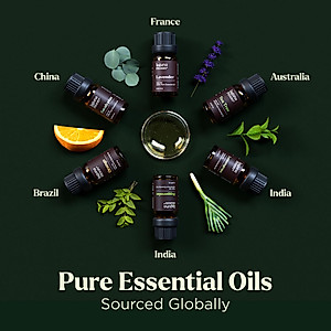 Essential Oils Set - Top 6 Organic Blends for Diffusers, Home Care, Candle Making, Fragrance, Aromatherapy, Humidifiers, Gifts - Peppermint, Tea Tree, Lavender, Eucalyptus, Lemongrass, Orange (10mL)