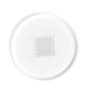 0.2 mm Net Shaped Microscope Eyepiece Micrometer net Shaped Eyepiece Ruler Slides Measuring Microscope Micrometer Calibration for Microscope Stage Eyepiece Objective Lens Diameter 19mm