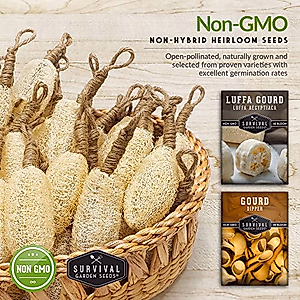 Dipper & Luffa Gourd Seeds to Plant - Loofah & Dipper Variety Gourds - Non-GMO Heirloom Seed Varieties for Planting & Growing Ornamental & Craft Gourds in The Vegetable Garden - Survival Garden Seeds