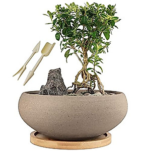 MUZHI Round Unglazed Ceramic Bonsai Pot with Bamboo Tray, Large Rough Pottery Succulent Planter with Drainage Hole 8 inch …