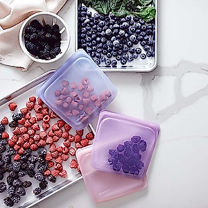 Stasher Reusable Silicone Storage Bag, Food Storage Container, Microwave and Dishwasher Safe, Leak-free, Sandwich, Clear