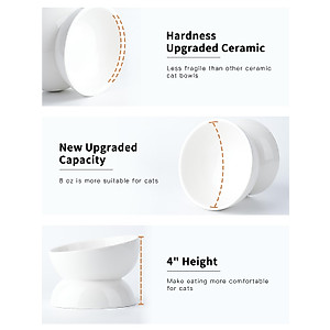 ABRUTY Cat Water Bowl, 16 OZ Ceramic Elevated Cat Dish, 15° Tilted and Raised Pet Food Bowl, Anti Vomiting Protect Pets' Spines and Whisker Fatigue