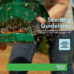 WaterSaver Grass Mixture with Turf-Type Tall Fescue Used to Seed New Lawn and Patch Up Jobs-Grows in Sun or Shade, 10 lbs-Covers 1/20 Acre