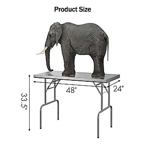 Garvee Stainless Steel Folding Table 24 x 48 Inches, NSF Commercial Portable Prep & Work Table, Heavy Duty Table for Outdoor Camp Picnic Party Restaurant, Home and Hotel
