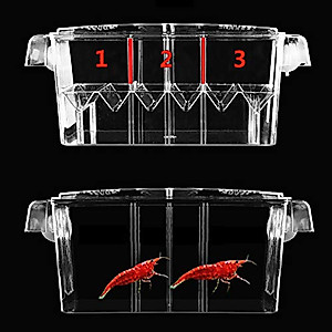4 Rooms HD Fish Breeding Box Aquarium Breeding Box, Breeder Box for Fish Tank, Double Hatching Incubator Isolation Box for Guppy Baby Fish Hatchery