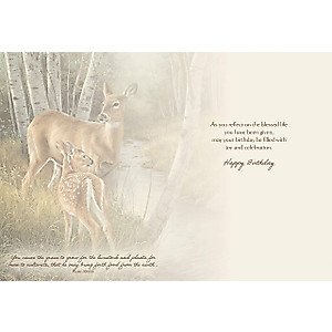 HTL Card-Boxed-Birthday-Whitetail Deer (Box of 12)