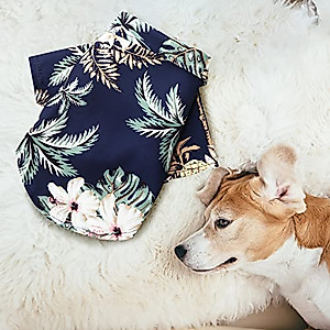 Pet Summer T Shirts Hawaii Style Floral Dog Shirt Dog Sweaters for Small Dogs Fleece Puppy Clothes Boy Girl Winter Warm Dog Sweater Extra Small Dog Clothing