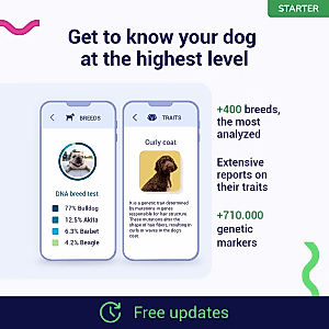 TellmeGen Koko Genetics - DNA Test for Dogs Starter - (Breeds and Traits Reports) - Updates at no Cost