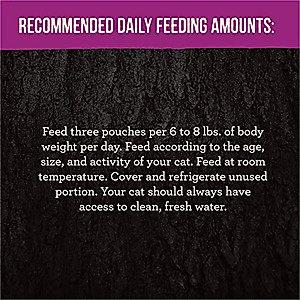 Merrick Backcountry Grain Free Wet Cat Food Real Turkey Recipe Cuts in Gravy - (24) 3 oz. Pouches