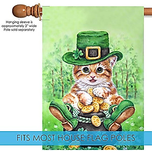 Toland Home Garden 1010806 Clover Kitty St Patricks Day Garden Flag 28x40 Inch Double Sided for Outdoor St Pats House Yard Decoration