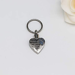 Vjajaly Cremation Jewelry for Ashes No Longer by My Side But Forever in My Heart Stainless Steel Pet Paw Keepsake Pendant Memorial Urn Keychain for Men Women (Blue)