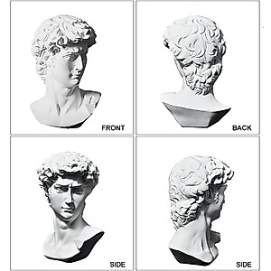 fazhongfa Greek Statue of David Bust Resin Sculpture for Roman Bookshelf Tabletop Office Home Decor Roman Sculpture Decoration David Figurine 6 Inch Gift for Friends Colleague