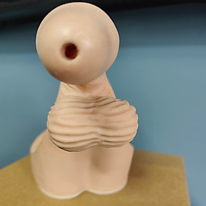 SIULAS Male Reproductive Organ Model - Anatomical Training Manikin - PVC Material, Light Brown, For Medical Professionals, Students, and Educators