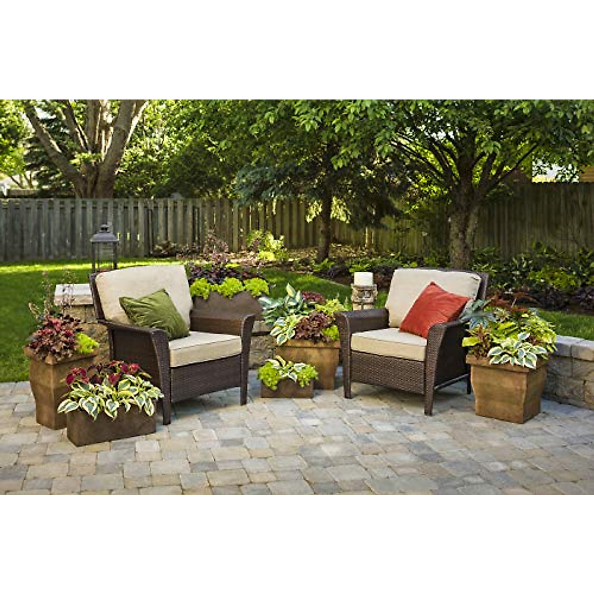 Proven Winners HEUPWP2146103 Cherry Truffles Live Plant, 0.65 Gallon