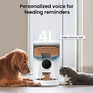 Automatic Pet Feeder for Cats and Dogs - Wansview 4L Smart Feeding Solutions with 2K Camera Video Recording and 2-Way Audio, 2.4G WiFi Cat Food Treat Dispenser with APP Control and Timer Programmable