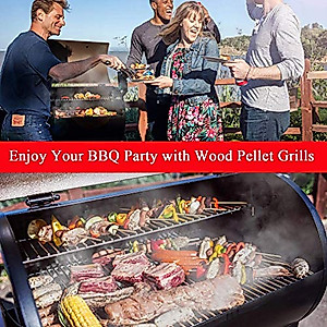 DONSIQIZZ Replacement for Camp Chef Meat Temperature Probe CampChef Pellet Grills Parts Kit,3.5 mm Plug High-Temperature BBQ Digital Thermostat Probes,Set of 2