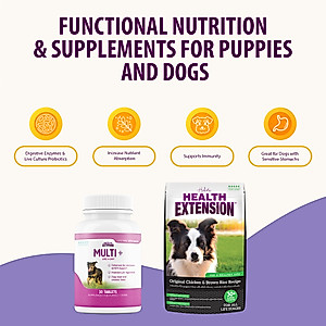 Health Extension Bundle - Dry Dog Food Chicken & Brown Rice Recipe (4 lbs) & Multivitamin (30 Tablets) - High-Protein, Balanced Nutrition for Dogs of All Life Stages