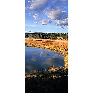 PeelitStickit, Beautiful Nature Wall Murals, ID-3313