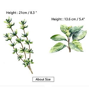 Herb Wall Decals Peel and Stick,Herb Wall Stickers,Herb Wall Art Decor for Kitchen, Kitchen Cabinet Decals,Kitchen Decals for Walls Peel and Stick,Kitchen Stickers for Wall