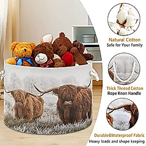 PAYOHTO Large Rope Basket Scottish Highland Cow Decor Baby Stuff Storage Baskets Blanket Clothes Pillows Toys Storage Bin Holder Water Resistant Laundry Hamper Farmhouse Living Room Western Home Decor