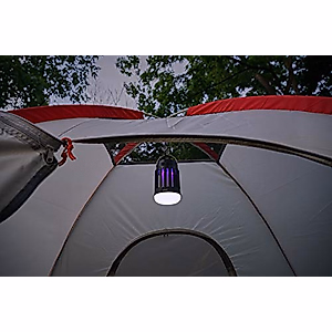 PIC Solar Portable Lantern & Bug Zapper, Kills Bugs on Contact