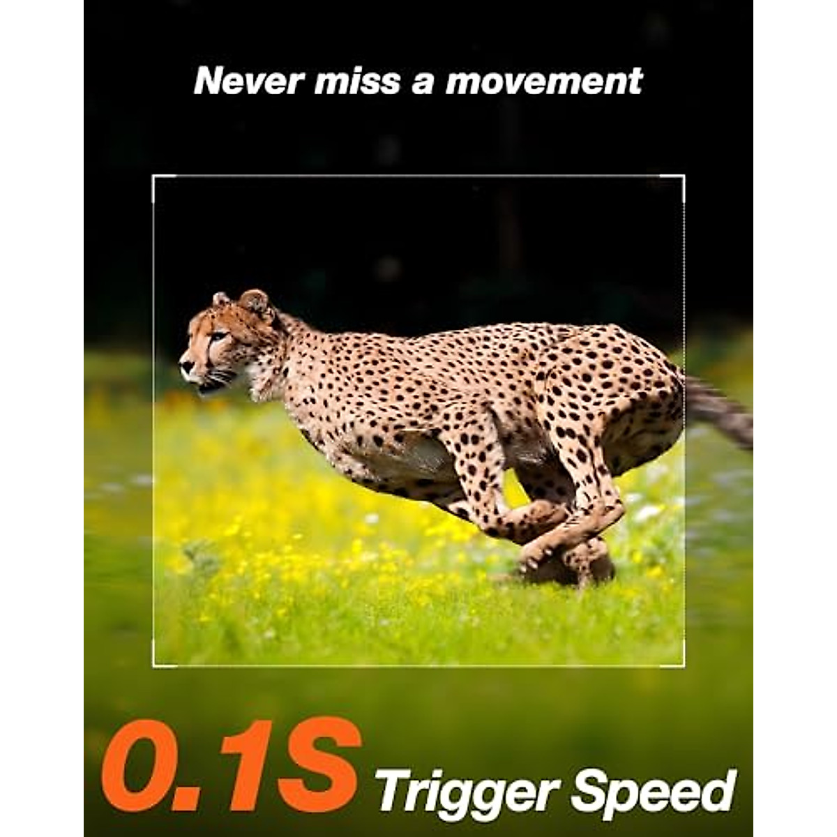 iZEEKER Trail Camera Solar, 4K 48MP Game Cameras with Night Vision Motion Activated IP66 Waterproof, 0.1s Trigger Time, High Capacity Built-in Lithium Battery for Wildlife Watching with 32GB SD Card