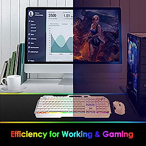 Wireless Gaming Keyboard and Mouse,16 Kinds RGB LED Backlit Rechargeable Keyboard Mouse with 4800mAh Battery Metal Panel,Mechanical Feel and Gaming Mute Mouse for PC Gamers(White RGB Backlit)