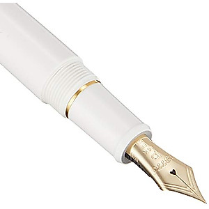 Platinum Fountain Pen #3776 Century (Extra Fine, Chenonceau White)