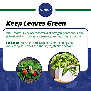 Jack's Classic 20-20-20 All Purpose Water-Soluble Fertilizer with Micronutrients to Provide General Growth on All Plants, 10lbs