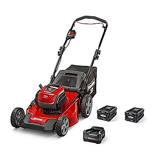 Snapper XD 82V MAX Electric Cordless 21-Inch Lawnmower Kit with (2) 2.0 Batteries & (1) Rapid Charger, 1687884, SXDWM82K (Renewed)