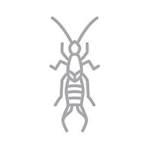 BUGGSLAYER Insecticide Ready-to-use Indoor 32-oz