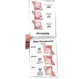 Speech Articulation Anatomy Flip Charts