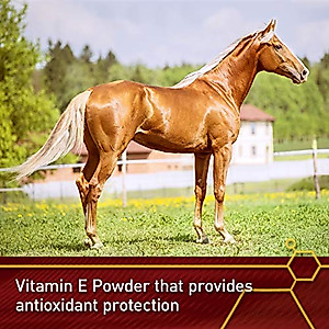 Vita Flex Pro E-5000 Premium Quality Horse Vitamin E, 4 lbs., 128-Day Supply
