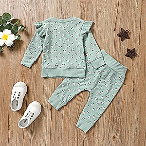 Kids Baby Girl Floral Clothes Set Ruffle Long Sleeve Pullover Tops + Bowknot Pants 2PCS Girls Outfits (Green, 2-3T)