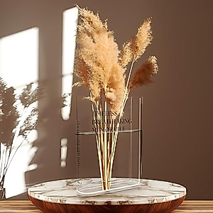 Clear Book vase for Flowers - Aesthetically Designed Acrylic Book Vase for Bookshelf Decor and Centerpieces - Ideal Bookish Gift for Women Friends - Inspirational Phrase (Black)