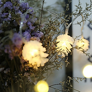 无 Christmas Pine Cones Shape LED Fairy String 40 LED 19.68 feet Battery Power Warm White String Lights Indoor and Outdoor Home Garden Lights