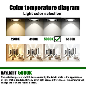 Celiwace F54T5/850/HO/ALTO 4 feet 54 Watt, T5 High Output 5000K Fluorescent Tube 46 Inches, 25 Pack G5 Cap 4200 Lumens