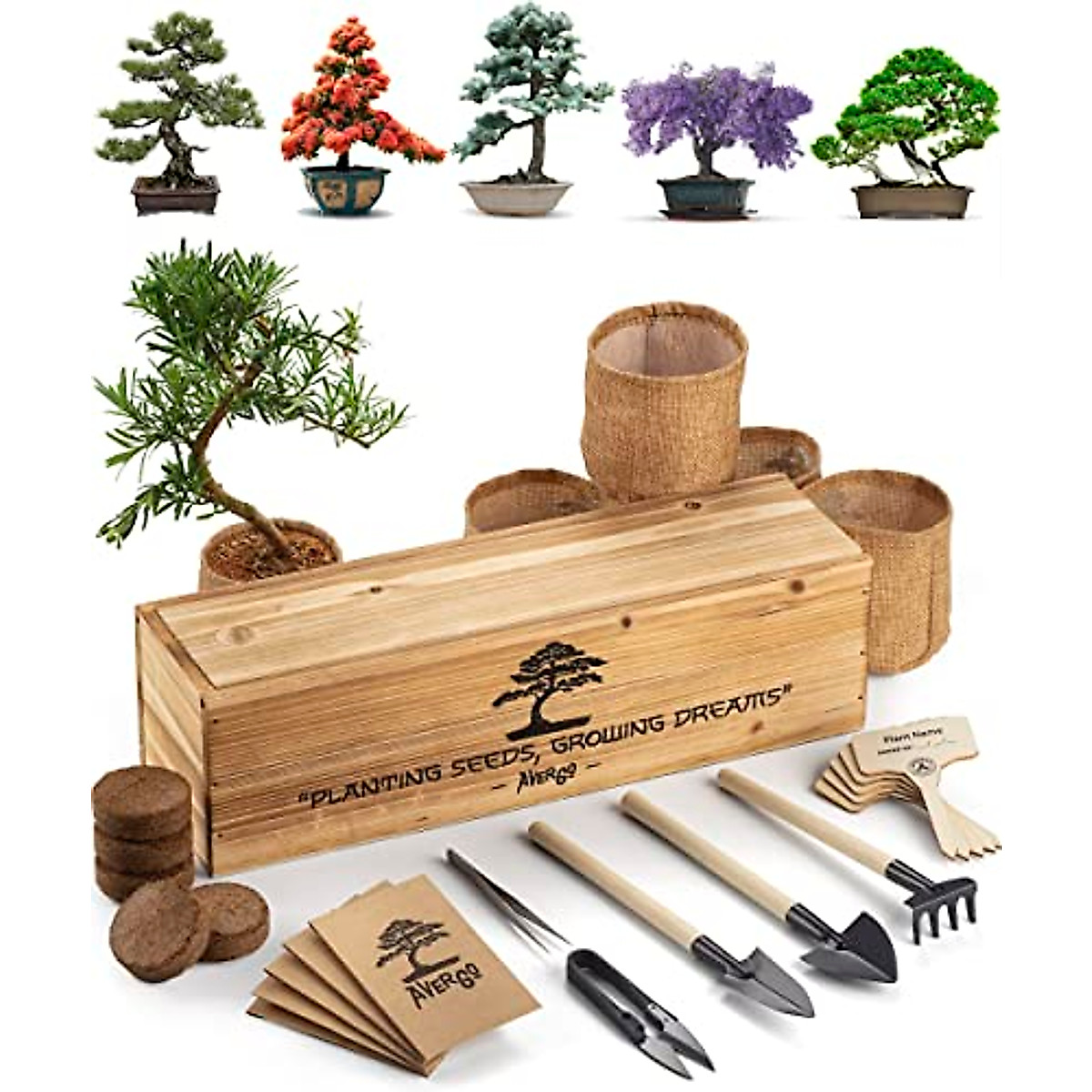Bonsai Tree Kit – 5X Unique Japanese Bonzai Trees | Complete Indoor Starter Kit for Growing Plants with Bonsai Seeds, Tools & Planters – Gardening Gifts for Women & Men