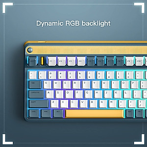 iQunix A80 Gaming Keyboard, 2.4G Wireless Mechanical Keyboard with Cherry MX Red Switch, Compact 83 Keys RGB LED Backlit Hot Swappable Keyboard for Windows/Mac/Android/iOS