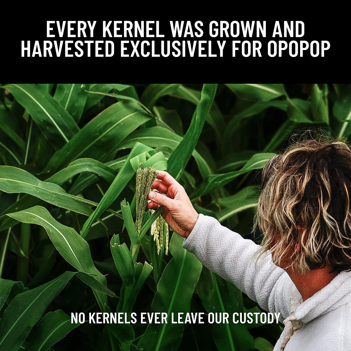 Opopop Microwave Popcorn - Variety 12-Pack Gourmet Popcorn Kit, Collapsible Silicone Popcorn Popper, Popcorn Maker, Gluten Free Snack-Sized Serving, BPA-Free and Dishwasher Safe