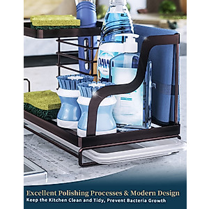 Consumest Sink Caddy Kitchen Sink Organizer, SUS304 Stainless Steel Sponge Holder for Kitchen Sink, Double-Layer Soap Sponge and Brush Holder with Removable Drain Tray, Bronze