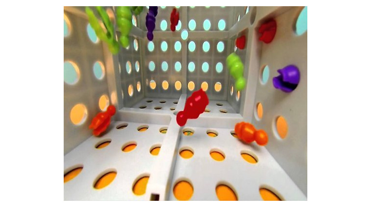 Squashed 3D Strategy Board Game - Fun for Kids & Family