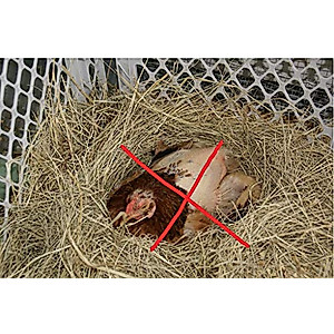 Hen Saver Poultry health equipment Single Strap Hen Apron Chicken Saddle, Khaki, Large US