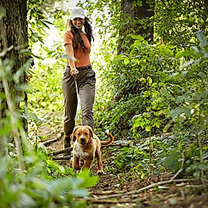 Nature′s Recipe Dry Puppy Food, Grain Free Puppy Chicken, Sweet Potato & Pumpkin Recipe, 4 lb. Bag